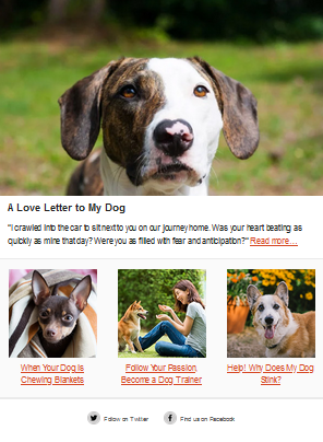 How to Make an NFT: A Simple Step by Step Guide - Pinnacle Accounting ...